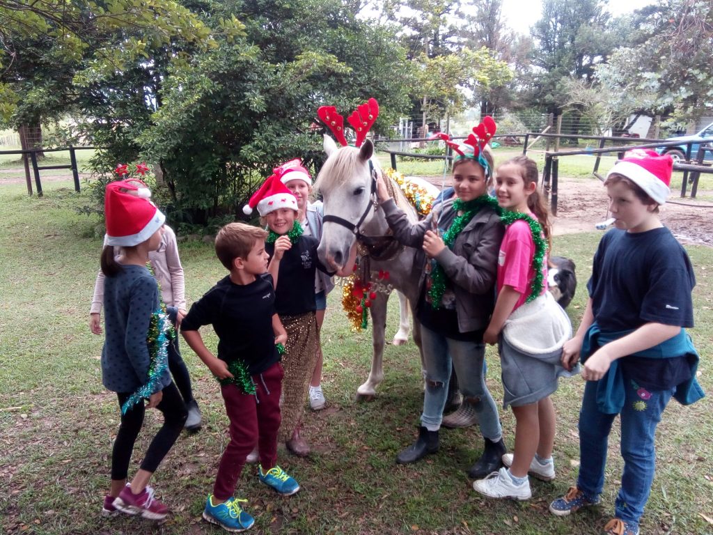 Sponsor a Pony Day | Coastal Horse Care Unit